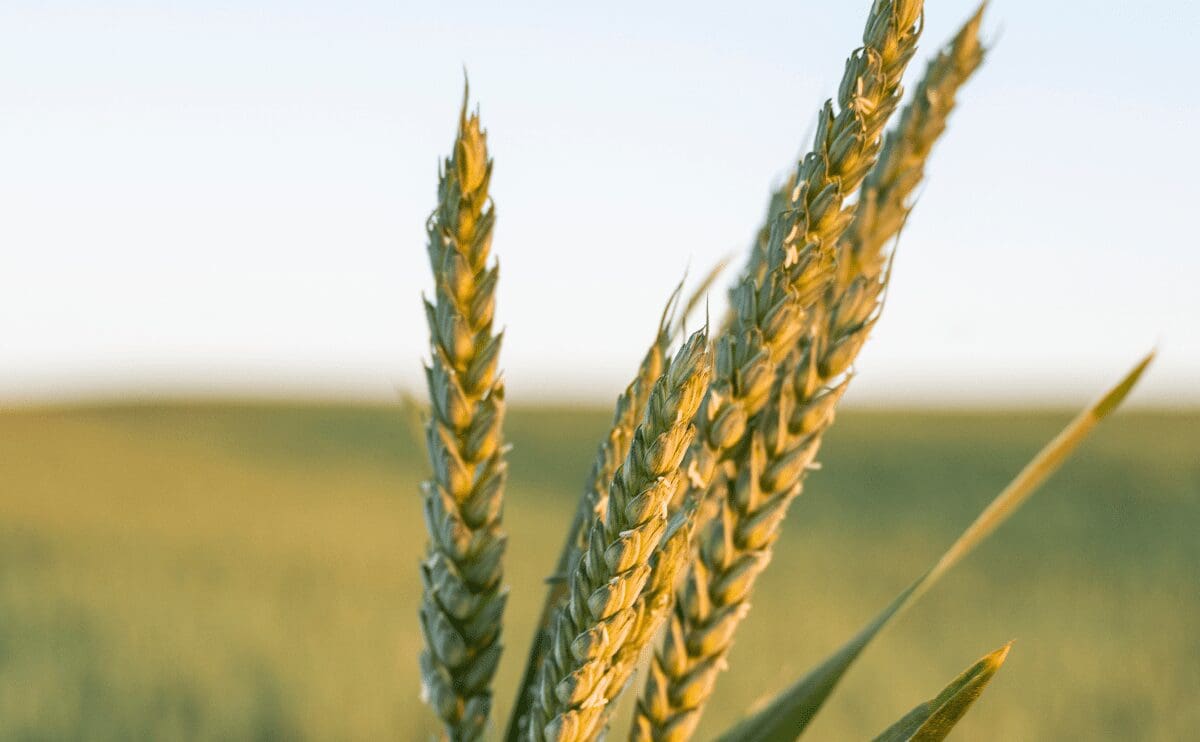 26 Degrees Selects QuantHouse For Enhanced US Equities Coverage